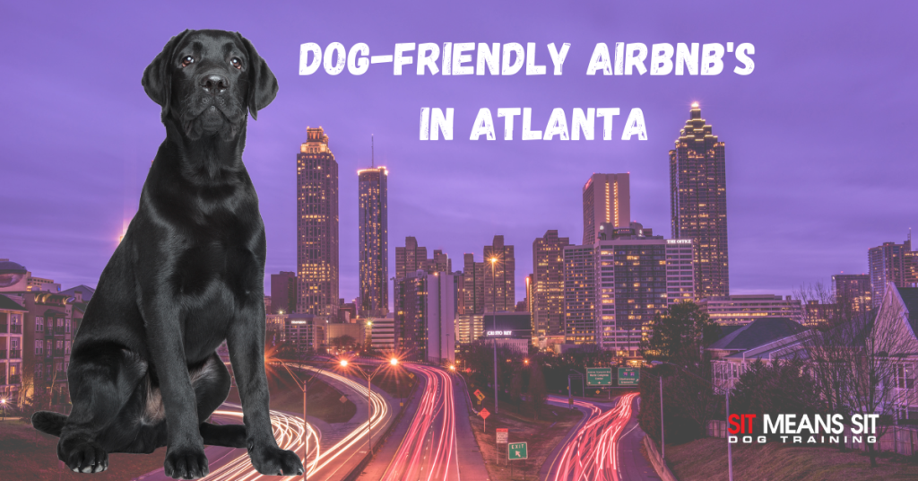 Dog-Friendly Airbnb’s in Atlanta | Sit Means Sit Atlanta