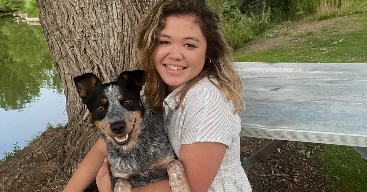 Best Dog Training in Fort Collins Colorado