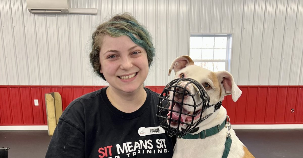 Best Dog Training in Towson, MD • Sit Means Sit Dog Training